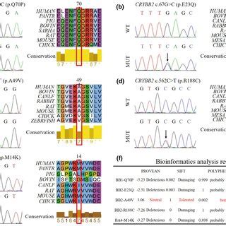 Sequence Chromatograms Hydrophobicity Secondary And Tertiary Download Scientific Diagram