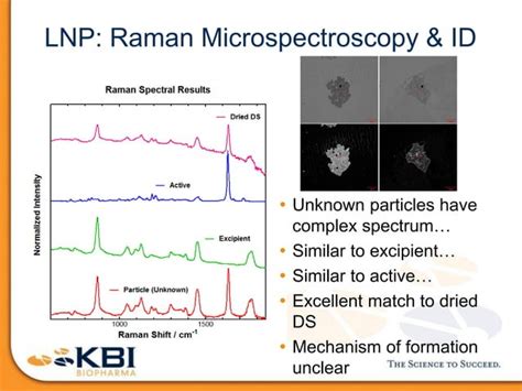 Automated Raman Microspectroscopy For Characterization And
