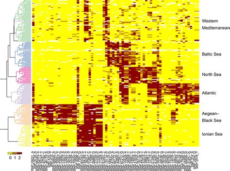 Minor Allele Frequencies At Outlier Loci Colors Indicate The Number Of