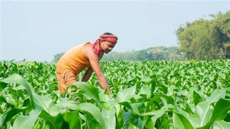 Life Certificate Update What Is A Ppo Number Step By Step Guide For