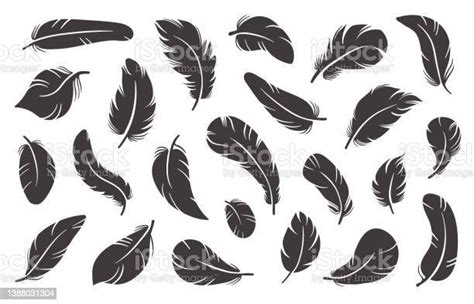깃털 아이콘입니다 블랙 깃털 실루엣 다른 모양 조류 요소 부드럽고 푹신한 깃털 경량 깃털을 부드럽고 구부립니다 펜 을 작성합니다 심플한 스타일 벡터 퀼 세트 깃털에 대한