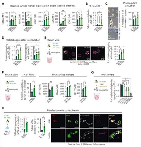 Can Perimenopause Cause Heavy Periods And Blood Clots An Expert Guide