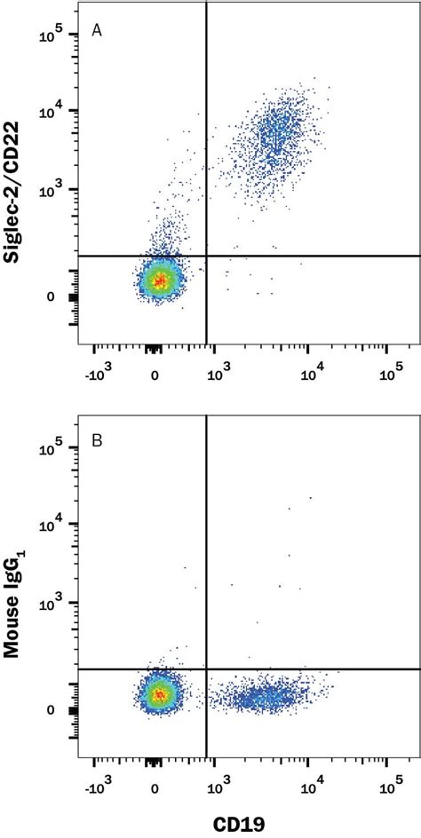 Human Siglec 2 Cd22 Antibody Mab1968 Randd Systems