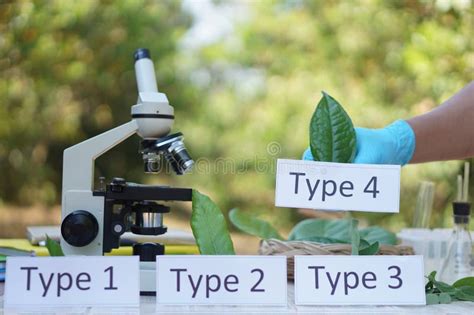 Microscope For Doing Science Experiment Outdoor Stock Image Image Of Handsome Person 327688121