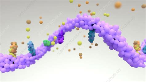 Rna Mutation Conceptual Illustration Stock Image F033 7618 Science Photo Library