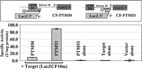 5′ Exon Replacement And Repair By Spliceosome Mediated Rna Trans Splicing
