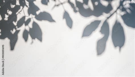 Leaves Shadow And Tree Branch Background Natural Leaves Tree Branch