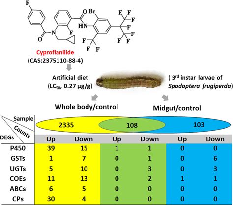 Partial Degs Of Whole Body And Midgut Of Larvae Under Cyproflanilide Stress Download