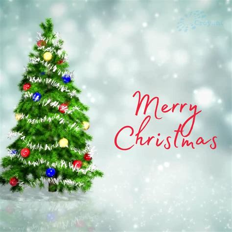 Croyant Technologies On Linkedin Croyanttechnologies Christmas2023 Happychristmas