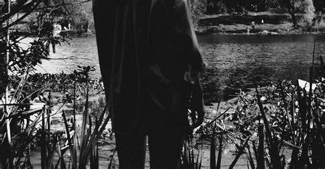 감정적인 강변 건물 경치 경치 좋은 전망 경치가 좋은 고요한 고요함 그림자 나무 대조 도시 공원 도시 성격 도시의 뒷모습 매력적인 명상 적