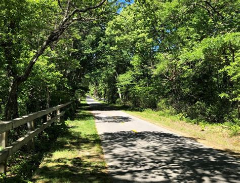 Bike Cape Cod Rail Trail At Betty Kennedy Blog