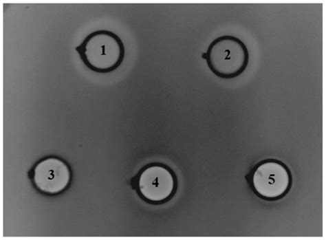 Microorganisms Special Issue Beneficial Microorganisms And Antimicrobials