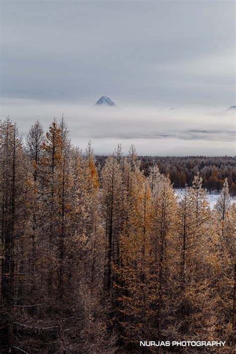 ГЭРЭЛ ЗУРАГ ГЭДЭГ БОЛ СЭТГЭХҮЙ НҮД АГШИН ГУРВЫН ХОСЛОЛ