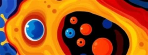 Cell Structures And Functions