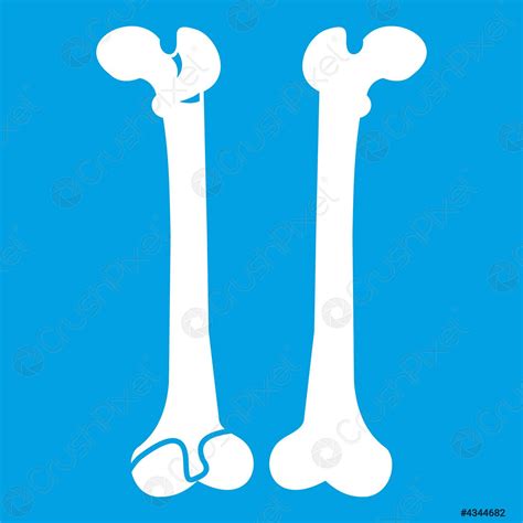 Bone Icon White Stock Vector 4344682 Crushpixel