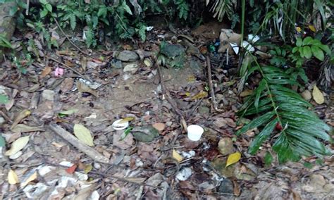 සොබා සොදුරු කන්නෙලිය සත්තු වගේ මිනිස්සුන්ගේ වැඩ