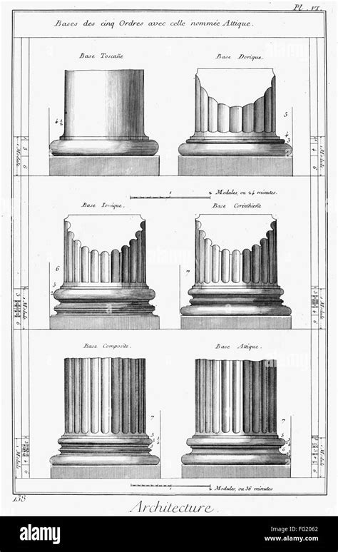 Architecture Columns Ndiagram Of Various Orders Of Classical Columns