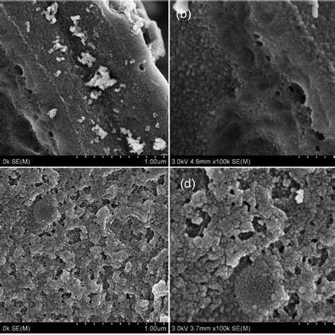 SEM Images Of Pristine WA A And B And WAB4 C And D Download Scientific Diagram
