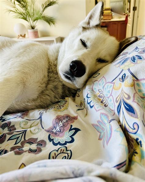 Strange Bedfellow I Wake Up Every Morning See This Mug And Think To