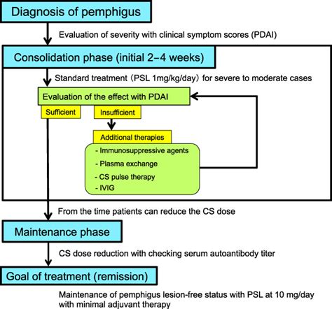 B Cell Targeted Therapy Of Pemphigus Pubmed
