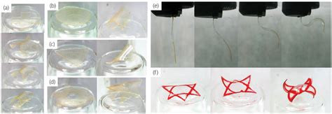 Solvent‐driven Biomimetic Soft Sensors And Actuators Sun 2023