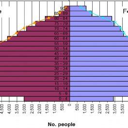 Age Sex Pyramid Of The Practice Population The Age Sex Profile Of The Download Scientific