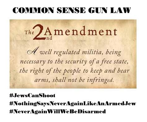 Common Sense Gun Laws Already Exist Jews Can Shoot