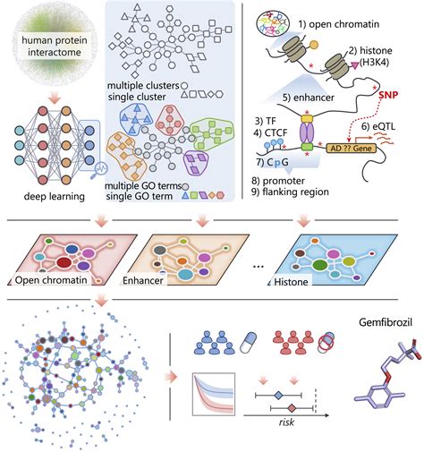 interpretable deep learning translation of gwas and multi omics