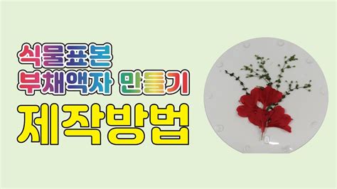 한진과학 식물표본 부채액자 만들기hd Youtube