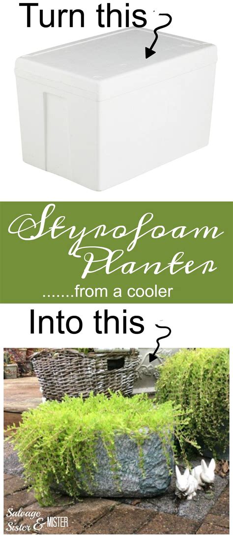 Styrofoam Planter From A Cooler Artofit