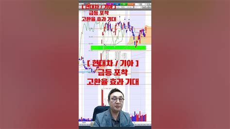 현대차 기아 저pbr 고환율 밸류업 주식 주린이 Youtube