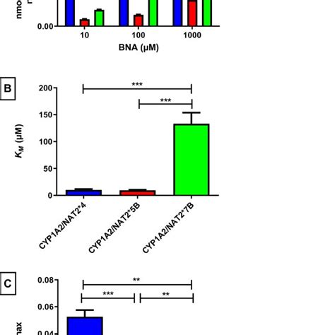 A Measurement Of Cyp1a2 Mrna A And Protein B Expression There Was No