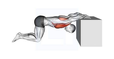 Dynamic Chest Stretch Guide Benefits And Form