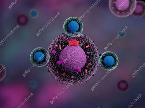 Car T Cells 이미지 1167973315 일러스트 무료 일러스트 게티이미지뱅크