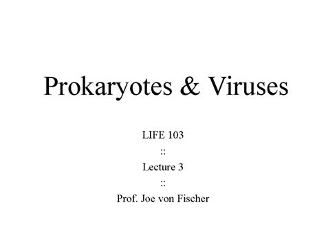Prokaryotes And Viruses Overview LIFE Lecture Notes Studocu