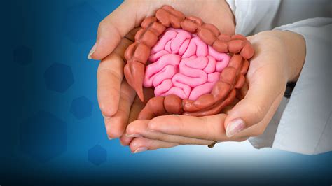 Webinars Beyond Organic Acids Assessing Gut Health With Metabolomics Testing Diagnostic