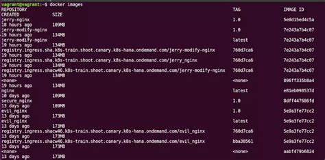 最简单的docker镜像教程：从头基于空镜像scratch创建一个新的docker镜像 知乎