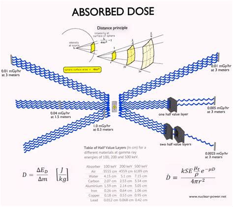 What Is Absorbed Dose Definition
