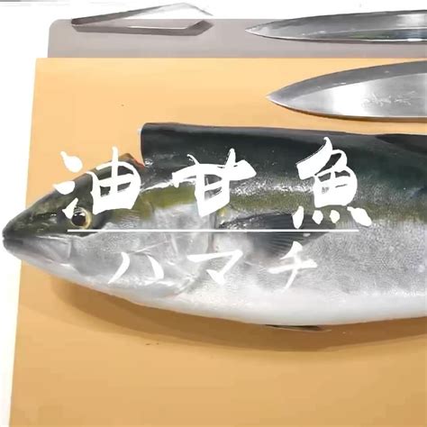 J2hk 日二港水産 觀看全片：【銀雪魚．西京燒】日式料理分享（中文字幕） Youtubeqxktgfaduvw 📍