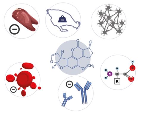 Effects Of Mycotoxins In Poultry Mycotoxinsite