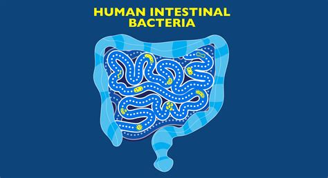 New Data On The Human Microbiome Project Reveal Multi Omic Host Gut Microbiome Interactions In