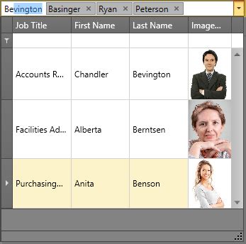 LookUpEdit Class WPF Controls DevExpress Documentation