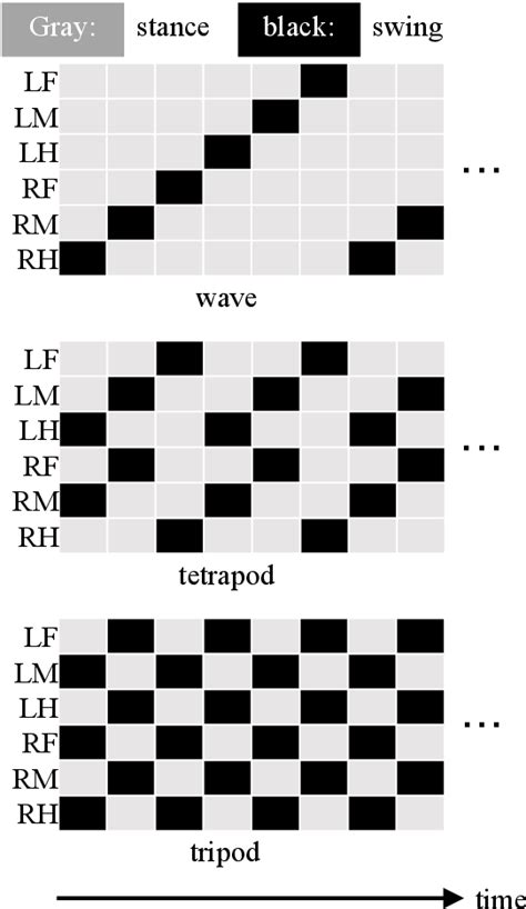Figure 2 From A Central Pattern Generator Network For Simple Control Of Gait Transitions In