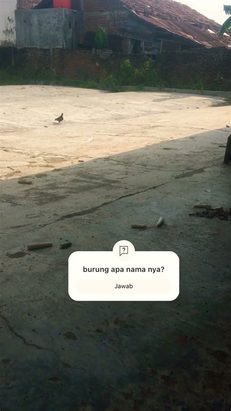 Music Voiceeffects Youtube