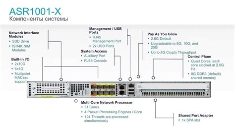 Discover The Comprehensive Cisco Asr Router Datasheet Specs Features