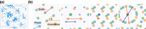 Spatial Firing Patterns Of Grid Cells A The Firing Pattern Of A