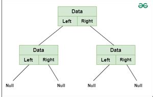 Binary Tree In C GeeksforGeeks