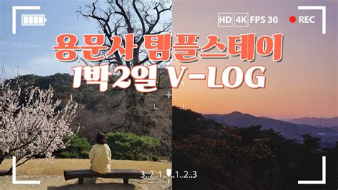 양평 용문사 템플스테이 체험형 브이로그ㅣ밤하늘이 아니라 우주🌌였어😲 Youtube