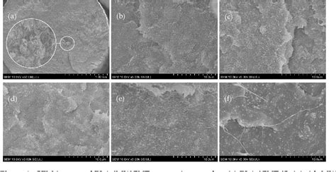 Figure 1 From The Influence Of Multiple Extrusions On The Properties Of