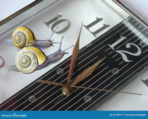 Timeline Snail Race Stock Image Image Of Approaching 5419071